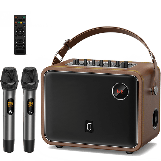 JYX T9 Karaoke Machine for Adults with 500-watt Power